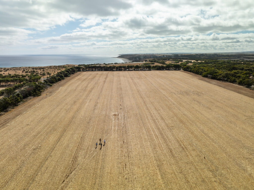 Introducing 'The Break': South Australia Surf Park Anchored by Endless ...